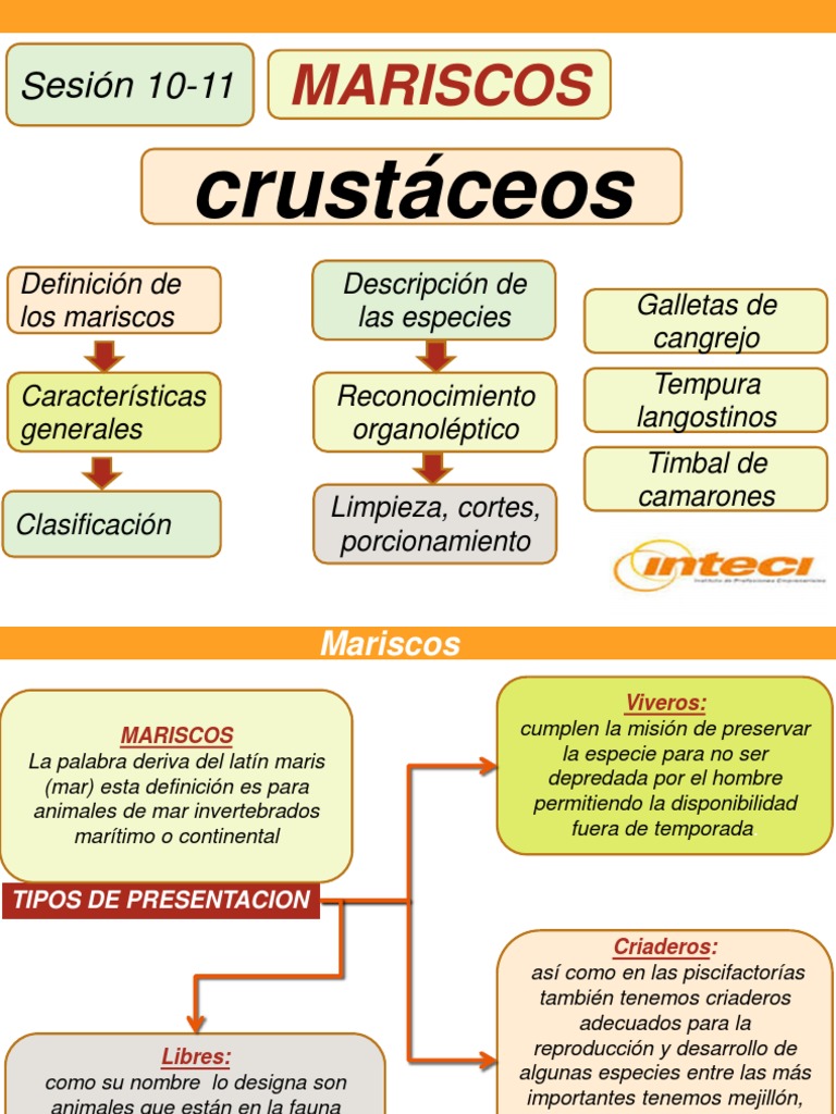 Clasificación de Mariscos y Moluscos | PDF | Mariscos | Crustáceo