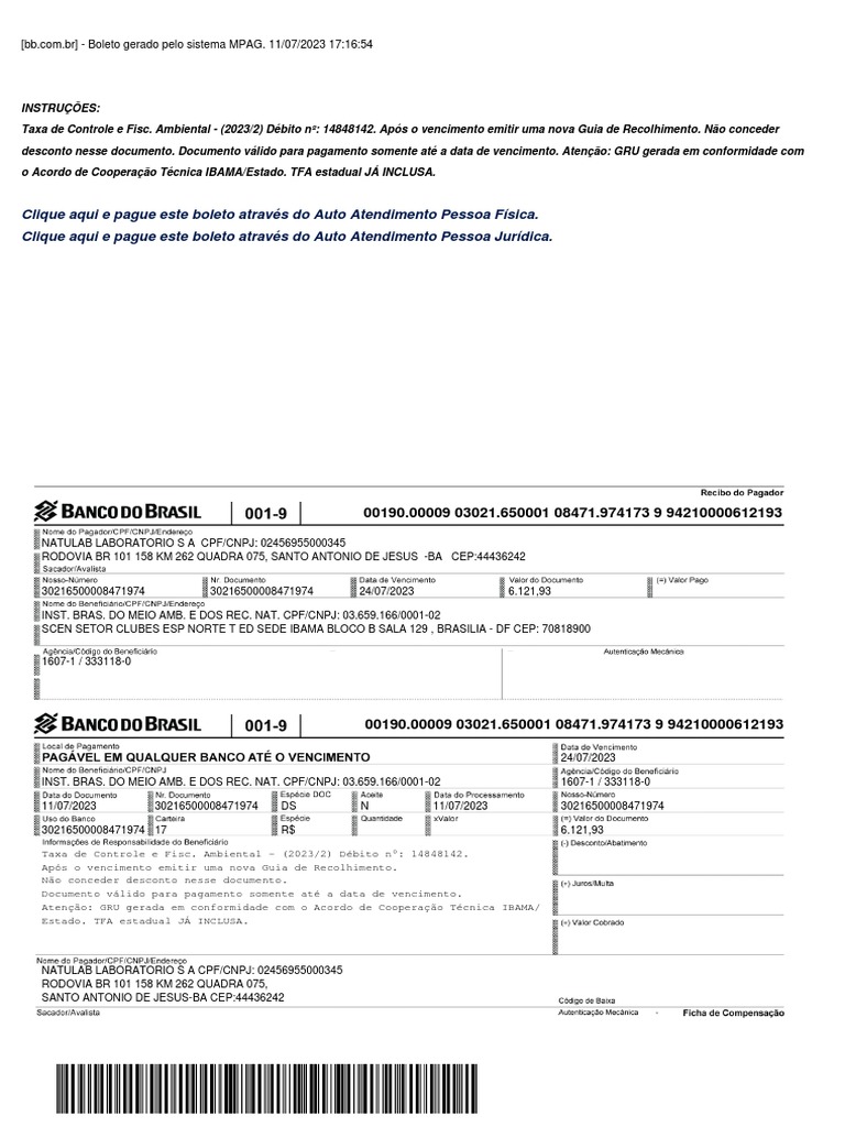 Boleto Tcfa 2.2023 45 | PDF