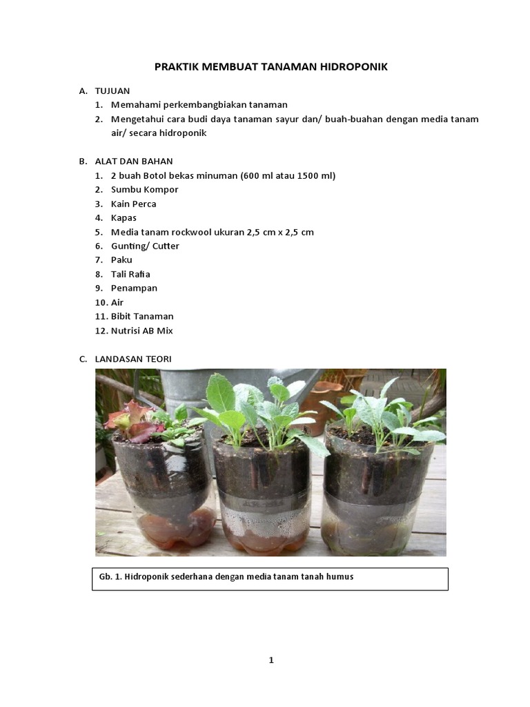 Praktik Membuat Tanaman Hidroponik | PDF | Griya & Taman