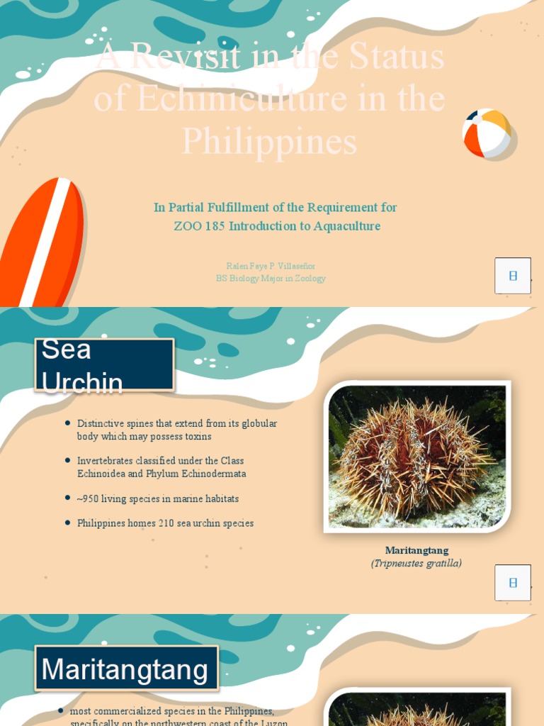 Echiniculture Status of Sea Urchins in the Philippines | PDF ...