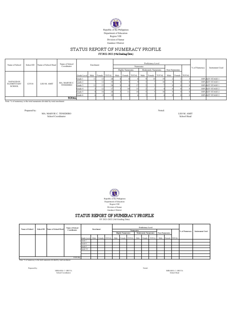 Numeracy Profile Report SY 2021-2022 | PDF