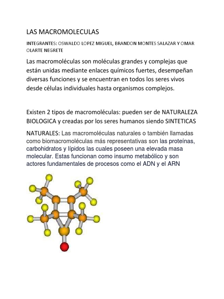 Las Macromoleculas | PDF