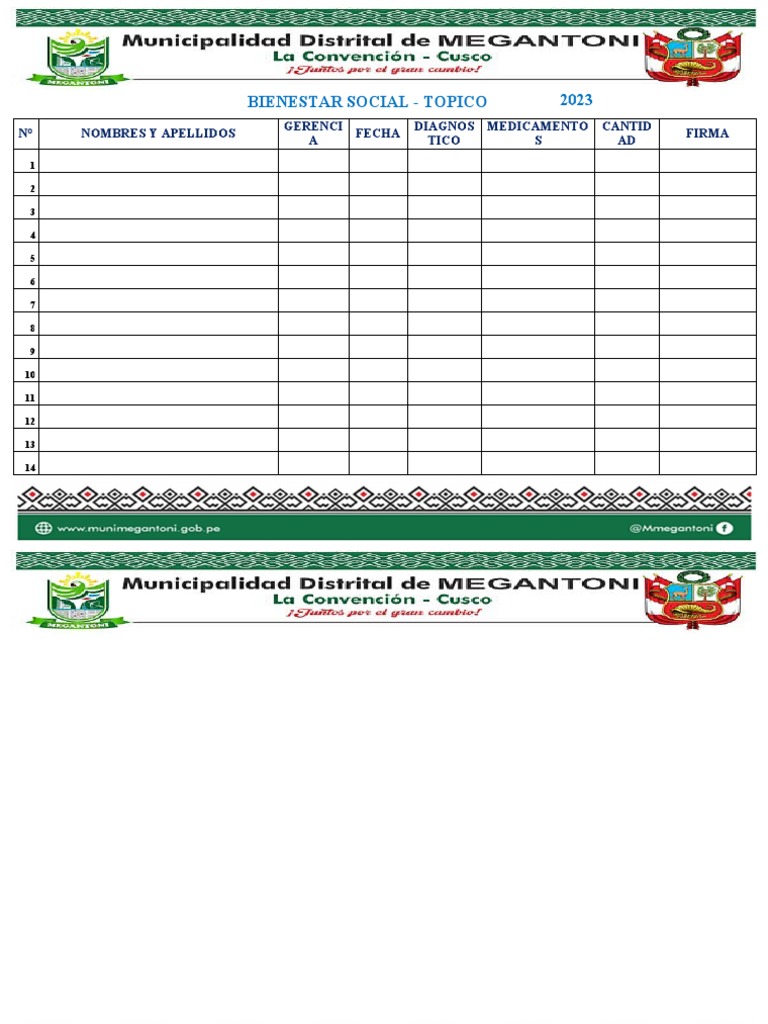 FORMATO PARA MEDICAMENTOS-PERSONAL MDM | PDF