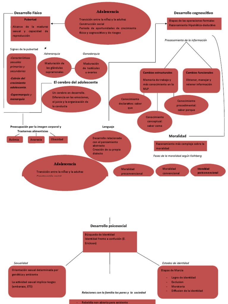 Mapa-conceptual-de-la-adolescencia | PDF | Adolescencia | Adultos
