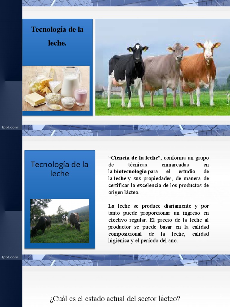 Estado Actual Sector Lechero | PDF | Leche | Productos lácteos