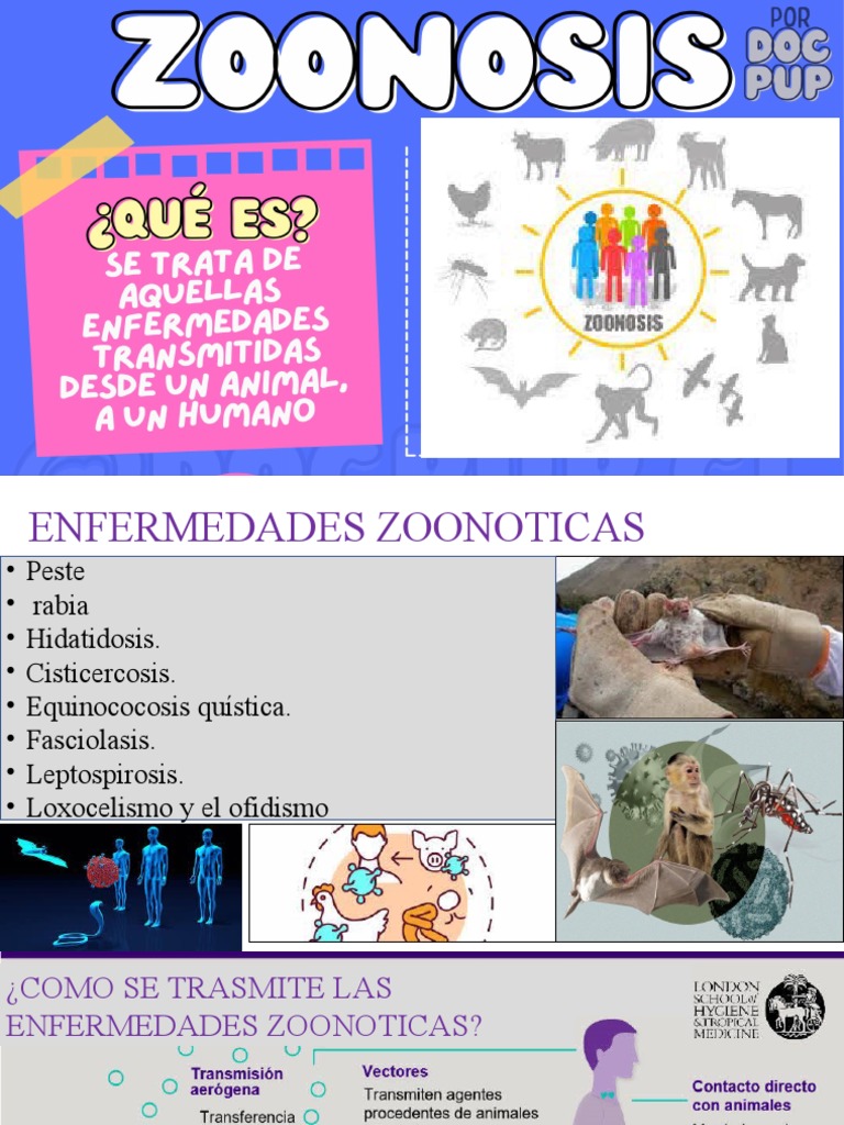ZOONOSIS | PDF