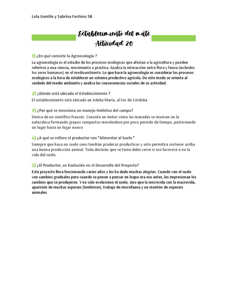 Actividad 20 | PDF