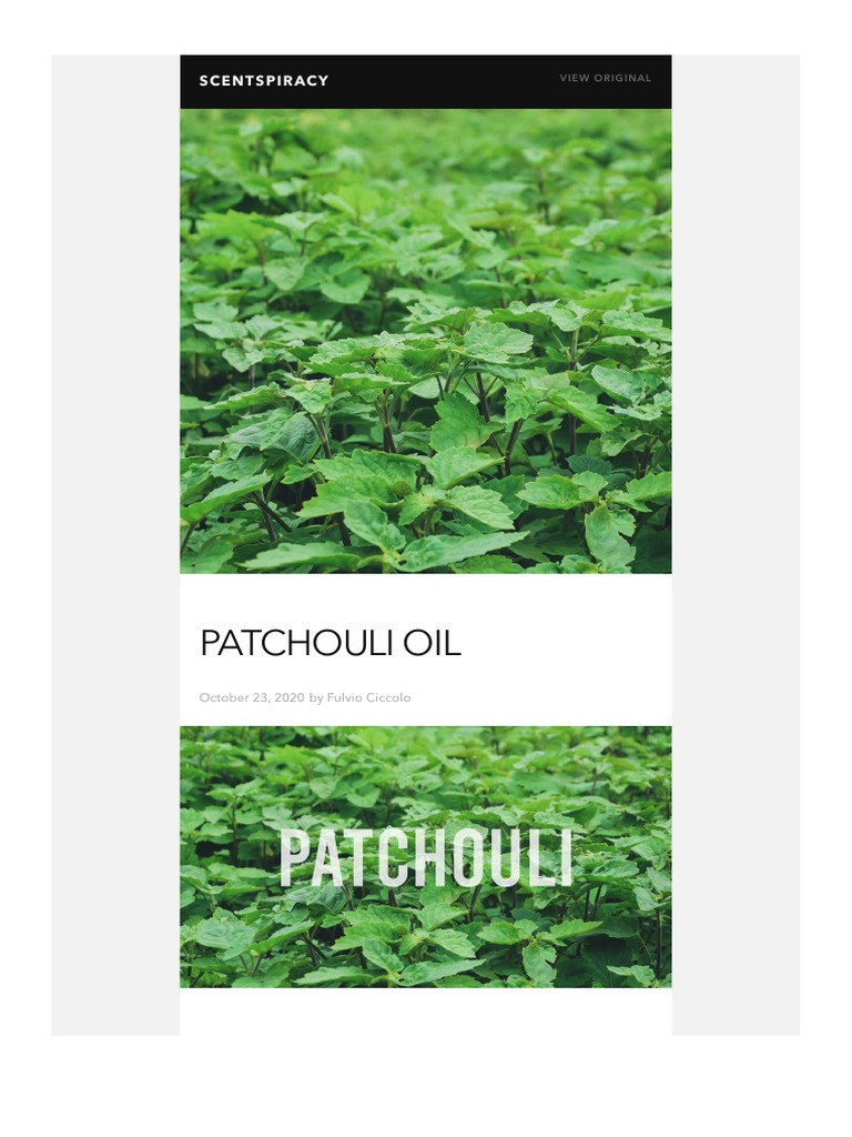 Understanding Patchouli Oil | PDF | Perfume | Ethanol