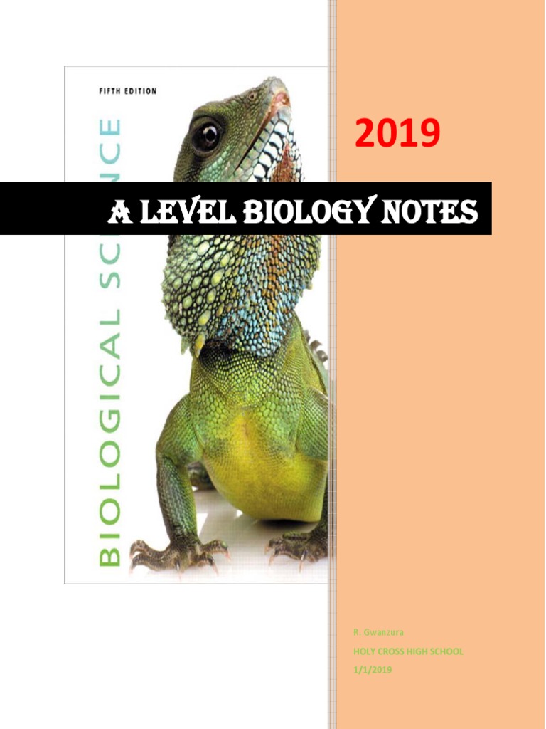 A level Biology Notes 2023 | PDF | Meiosis | Microscope