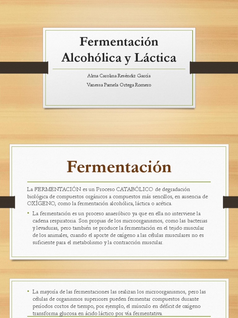 Fermentacion Alcoholica y Lactica | PDF | Fermentación | Glucólisis