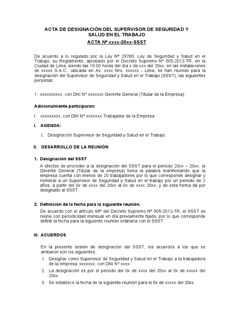 Acta de Designación de Supervisor de SST | PDF | Gobierno | Justicia