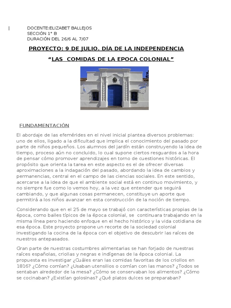Proyecto 9 de Julio | PDF