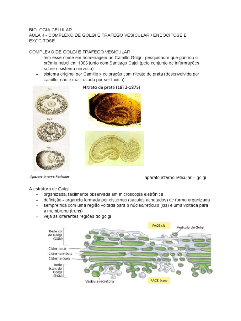Aula 4 - Biocel | PDF | Vesícula (Biologia e Química) | Lisossoma