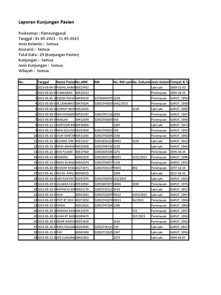 Laporan Kunjungan Pasien | PDF