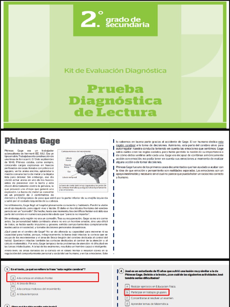 Prueba Diagnostica Lectura - 2sec | PDF