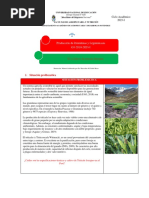Subproductos del Arroz: Arrocillo y Más | PDF | Arroz | Cereales