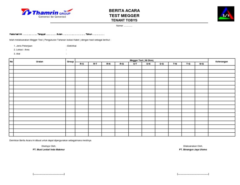 Form Test Megger 3p | PDF