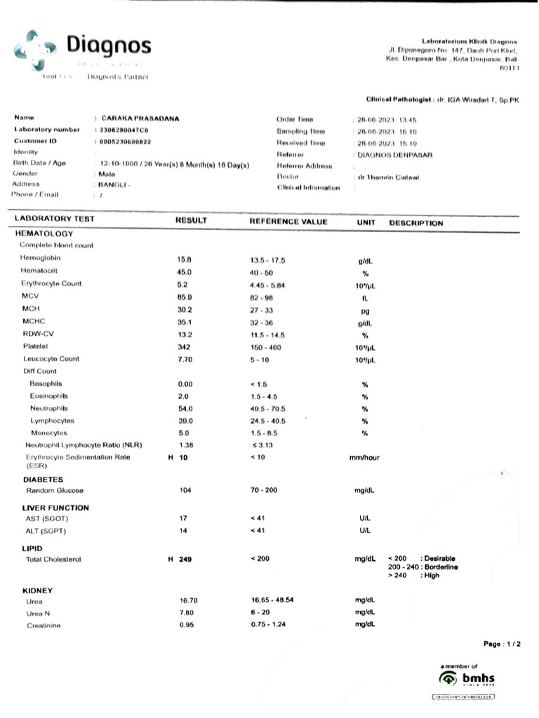 Hasil MCU Raka | PDF