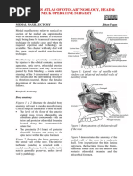 Sinuses Positioning Chart | PDF | Skull | Human Nose