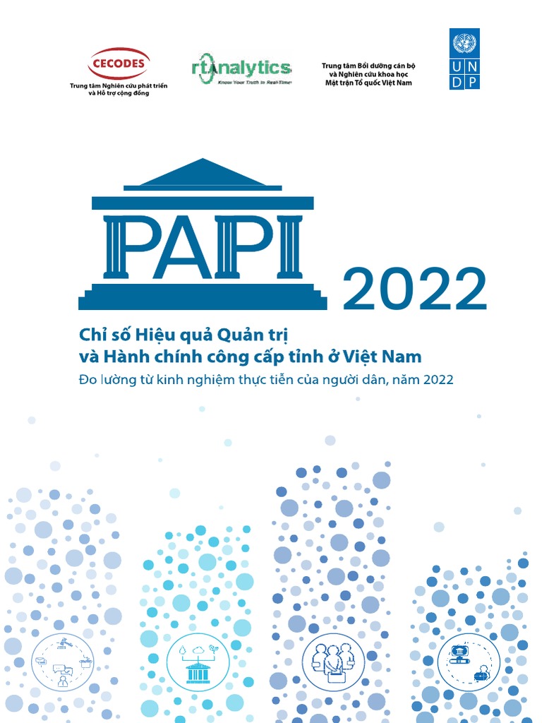 2022 PAPI REPORT VIE E-Book | PDF