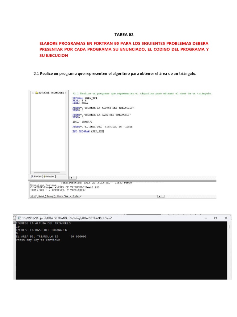 Tarea 2 - Vargas Pazo - Resuelta | PDF