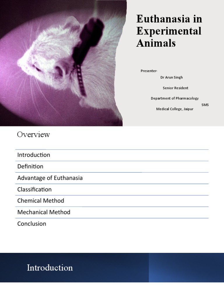 Euthanasia in Lab Animals | PDF | Anesthesia | Medicine