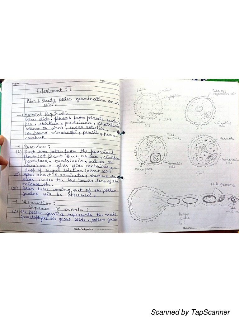 Bio Lab Manual | PDF