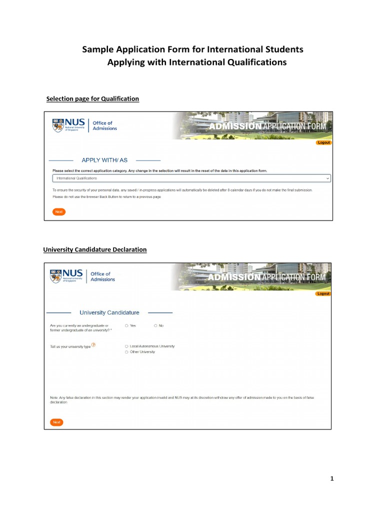 International Student Application Form | PDF | Educational Stages