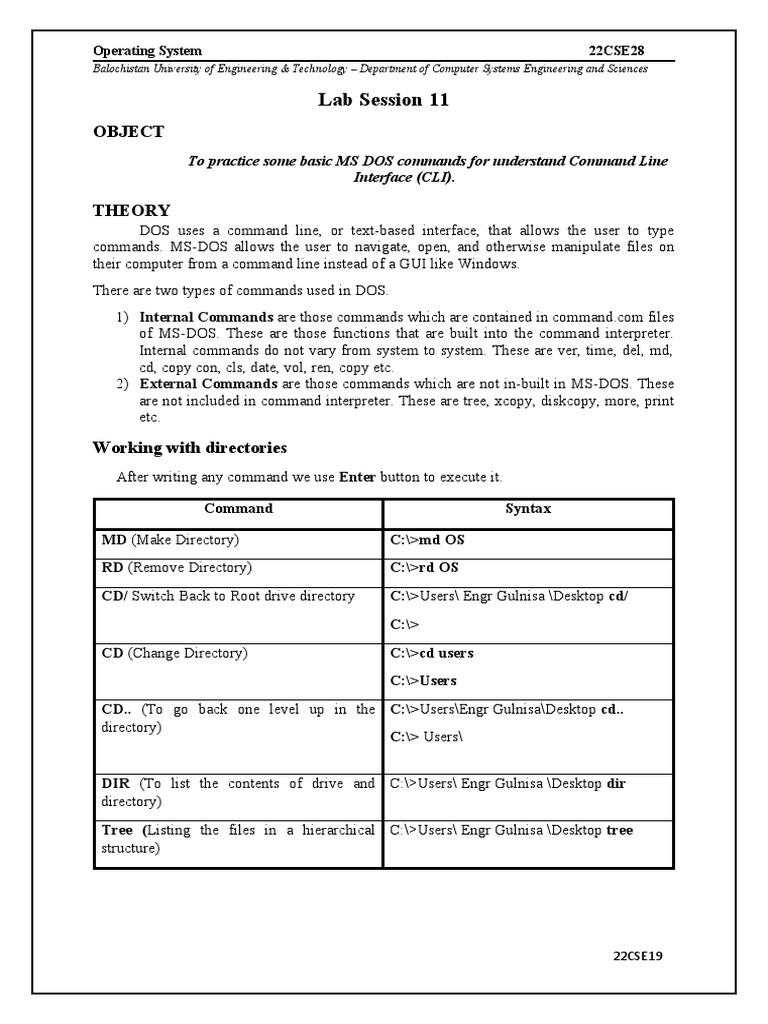 MS-DOS Commands Lab Guide | PDF