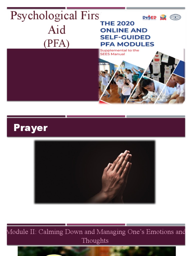 PFA Module 2 | PDF | Thought | Feeling