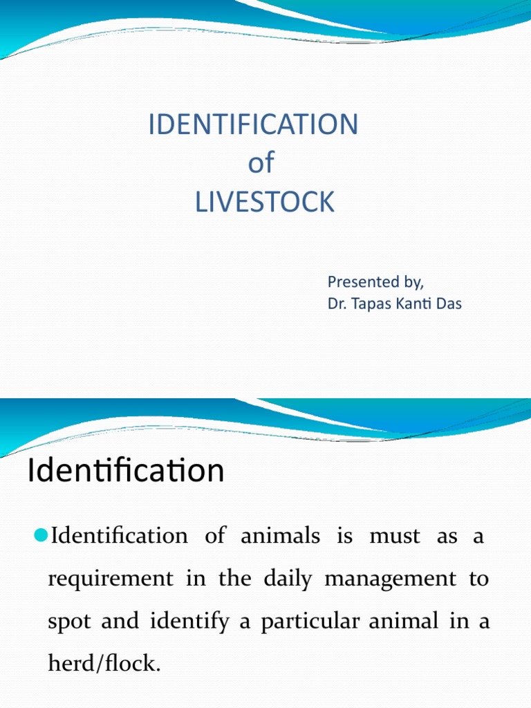 Identification of Livestock | PDF