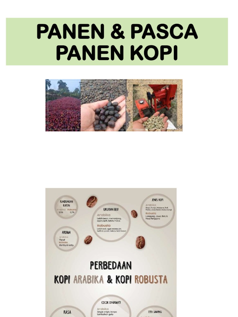 Proses Panen dan Pasca Panen Kopi | PDF | Memasak, Makanan, & Anggur ...