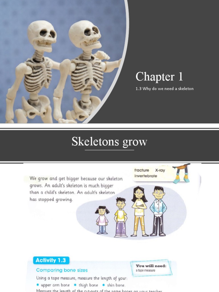 Chapter 1 1.3 - Why Do We Need A Skeleton + 1.4 - Skeletons and ...