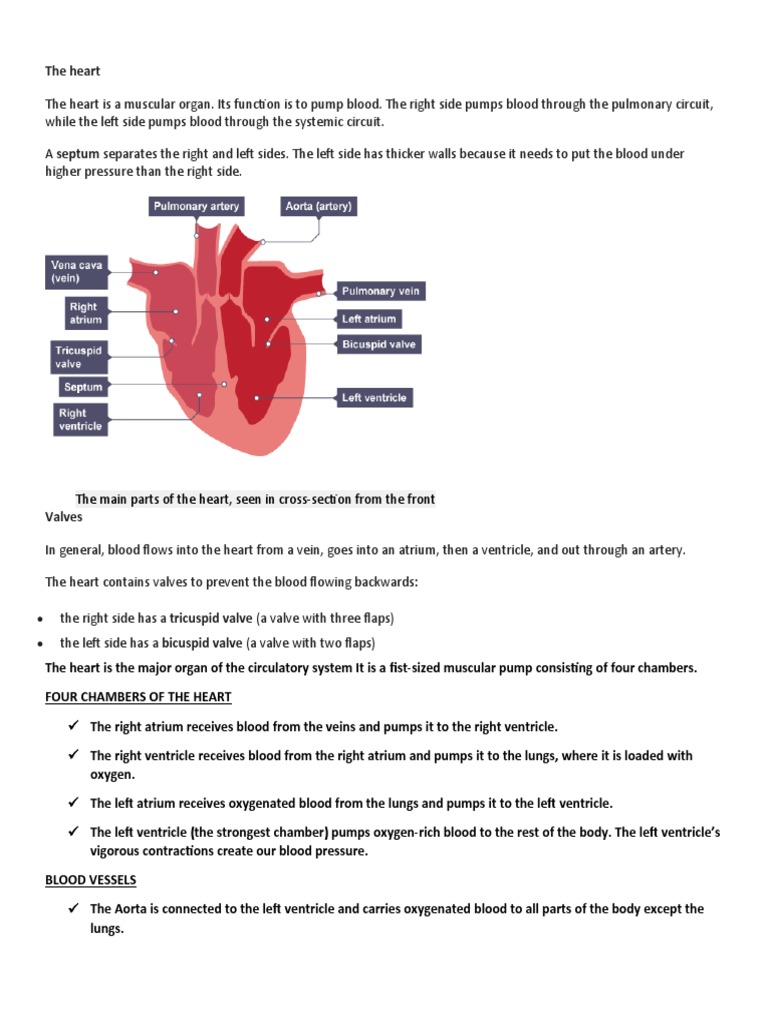 Self Study Material | PDF | Travel | Wellness Self Study Material | PDF | Travel | Wellness