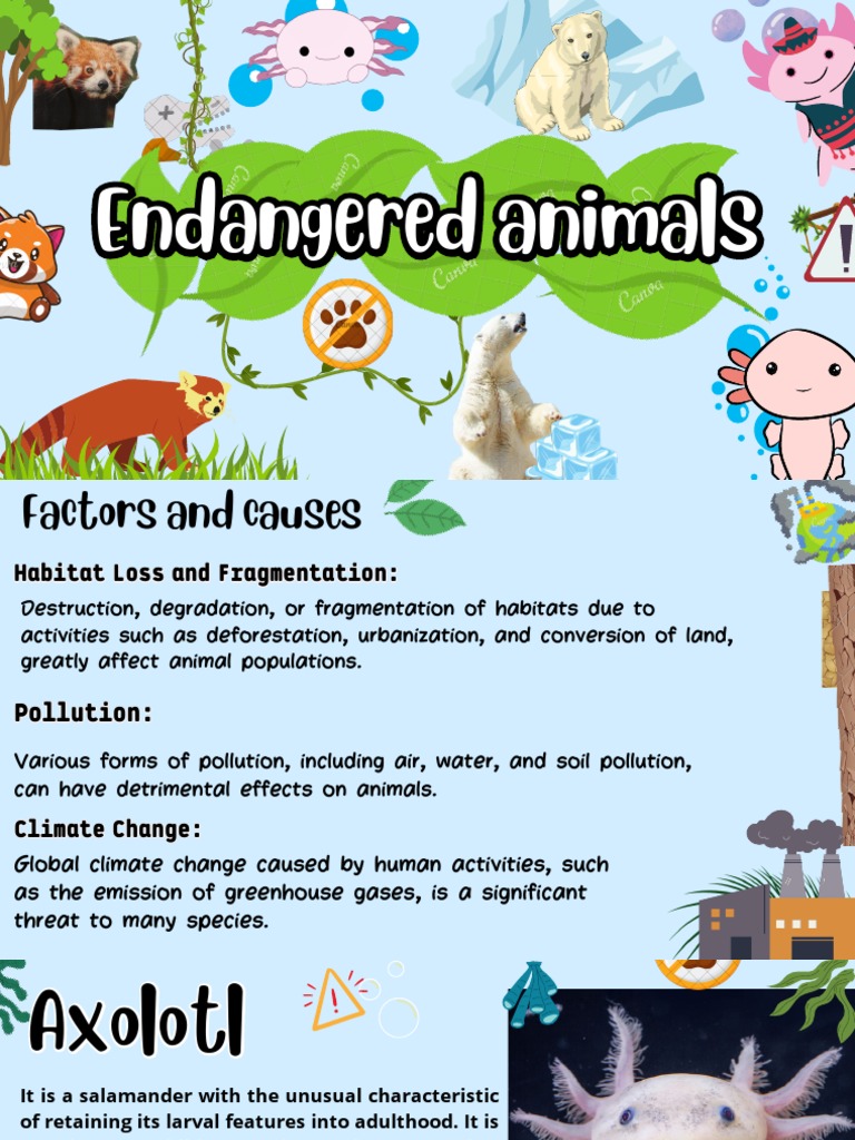 Causes of Endangerment and Solutions | PDF | Home & Garden