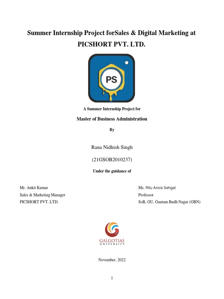 SIP Report by Rana Nidhish Singh | PDF | Sales | Search Engine Optimization