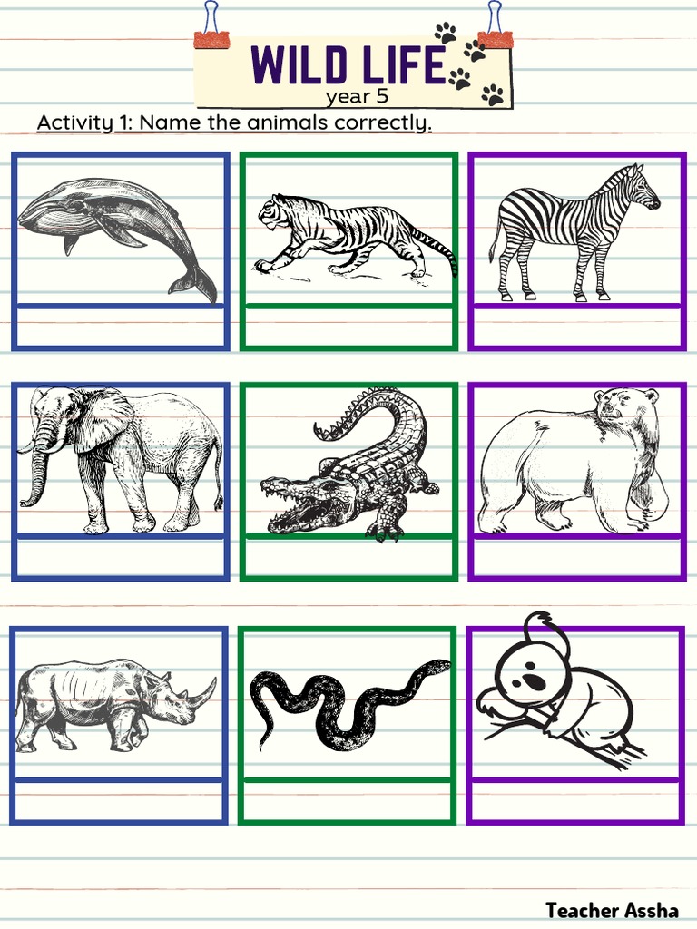 Wild Life Year 5 Activities | PDF | Tiger | Organisms
