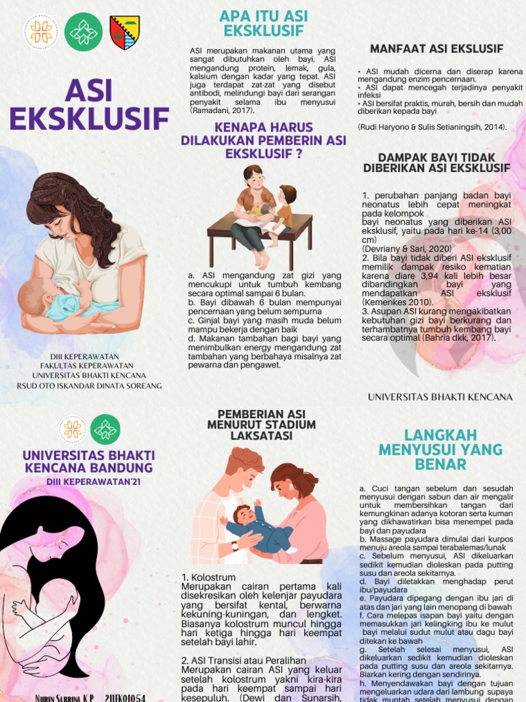 Leaflet Asi Eksklusif | PDF