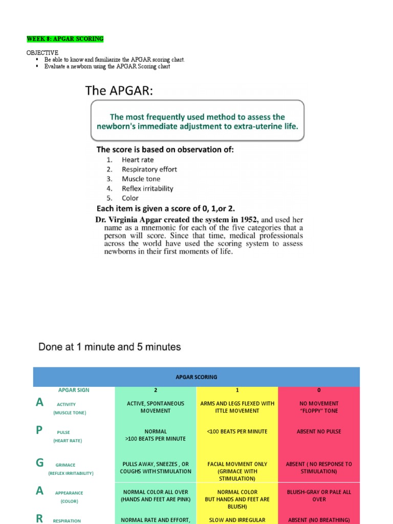 APGAR Scoring Guide & Quiz | PDF