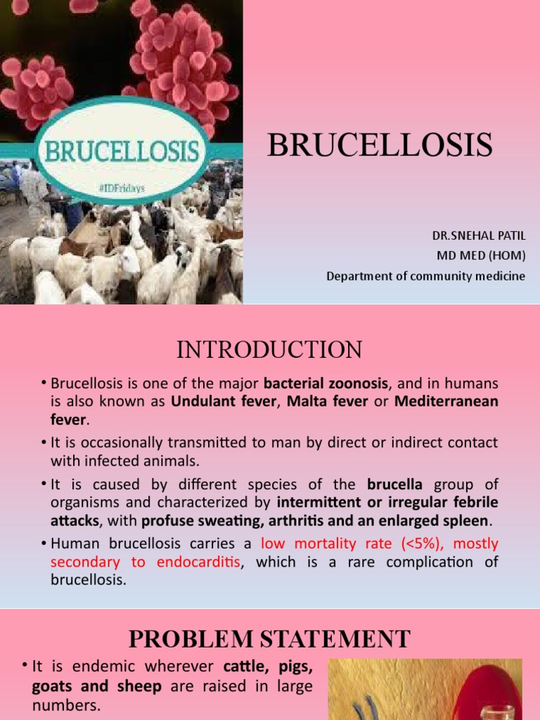 Brucellosis | PDF | Medical Specialties | Epidemiology