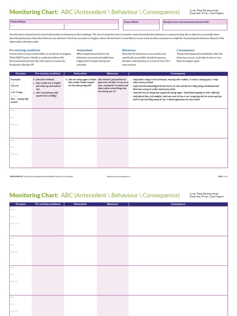 4.3 ABC Chart | PDF | Behavior | Diseases And Disorders
