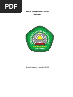 Contoh BAP Pidana | PDF