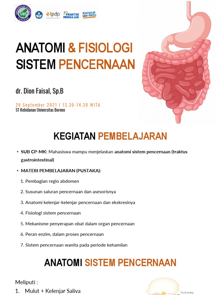 Anatomi Fisiologi Sistem Pencernaan S1 Kebidanan UBT | PDF