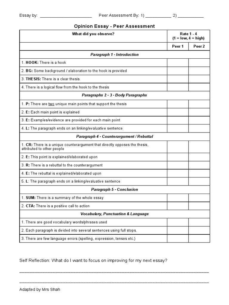 Opinion Essay Peer Assessment Guide | PDF