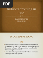 Breeding in Fishes | PDF | Luteinizing Hormone | Gonadotropin