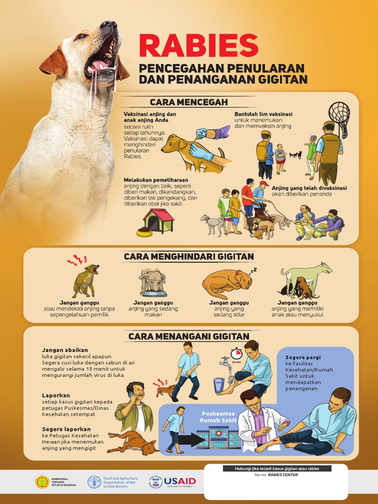 Poster Tentang Pencegahan Dan Penularan Rabies - Penanganan Gigitan ...