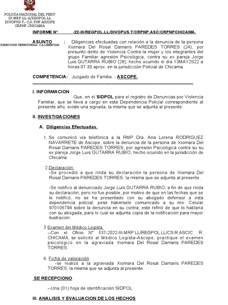 Informes Por Viol Familiar Caso Merlo | PDF | Accion legal | Violencia