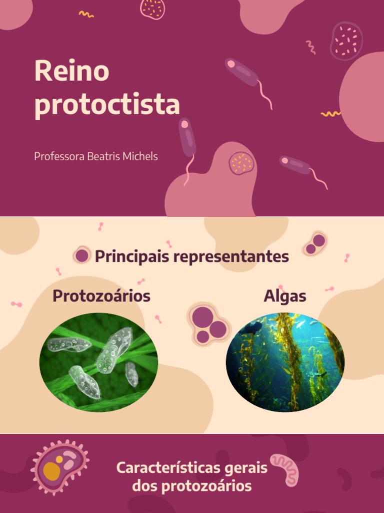 Aula Reino Protoctista | PDF