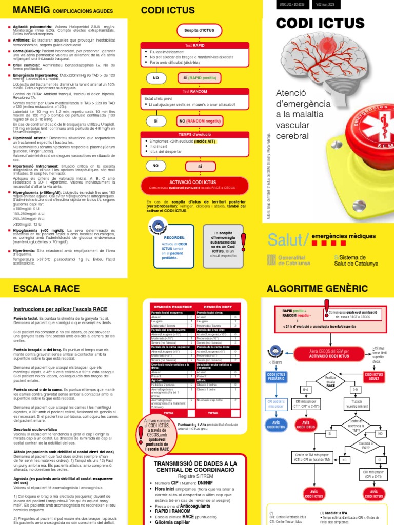 Tríptic CODI Ictus 2023 | PDF