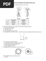 Dichotomous Key Practice Worksheets | PDF | Foreign Language Studies
